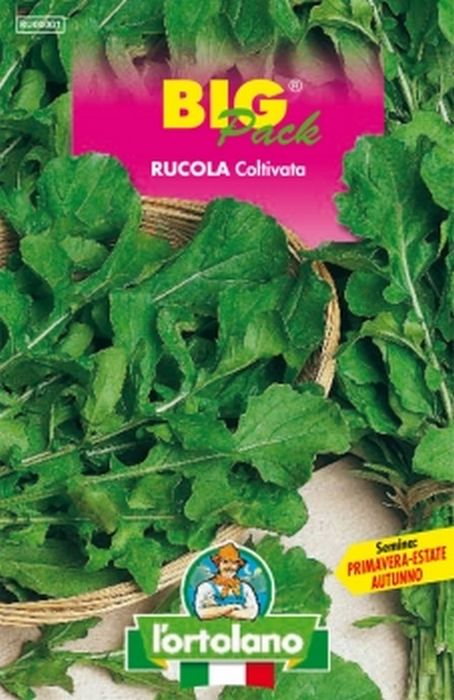 Sementi in busta Big Pack di Rucola varietà "coltivata" Gogoverde